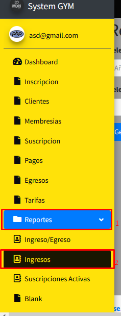 Reporte Ingreso - Systemgym